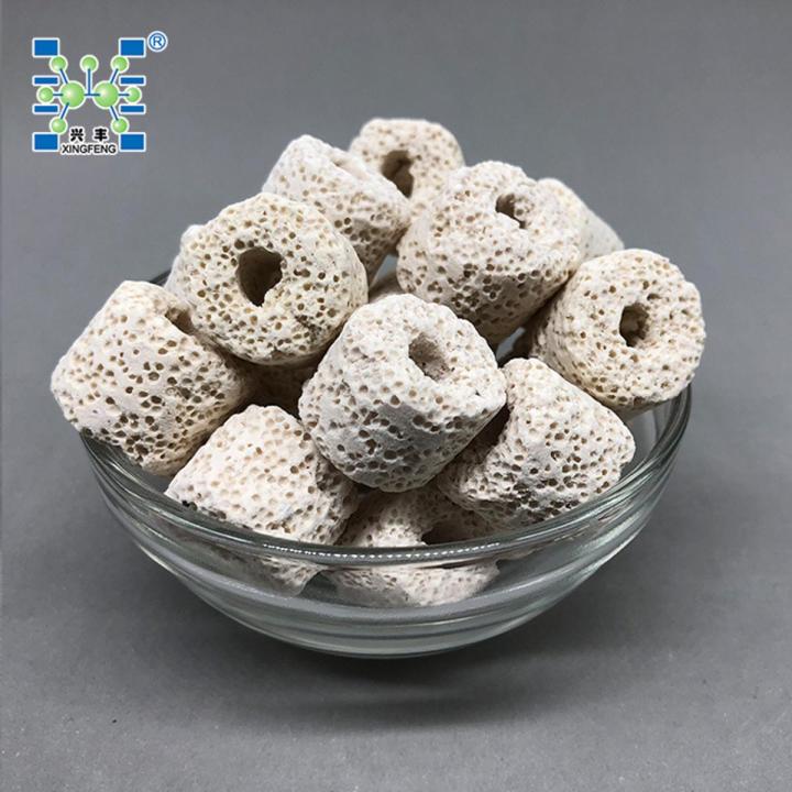 Filter Media Nano Bacteria Bio Ceramic Rings for Fish Aquarium 100 ...