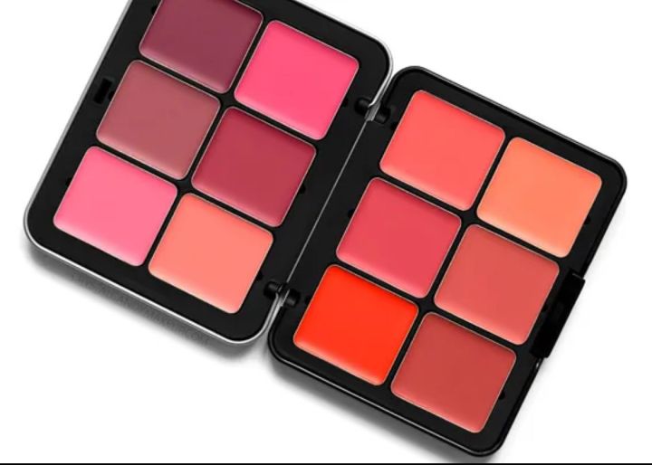 Blush Palette – Multi-Shade Pigmented & Long-Lasting Cheek Color for ...