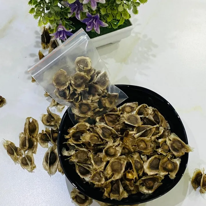 Moringa seeds(Pack of 20+) for planting and eating Organic Oleifera ...