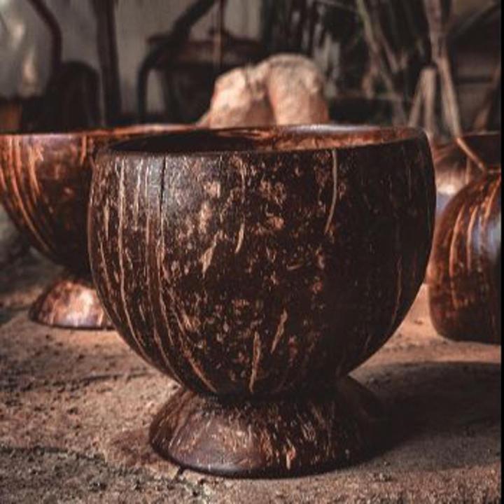 Coco Tea Cups 100% natural biodegradable - 1x | Daraz.pk