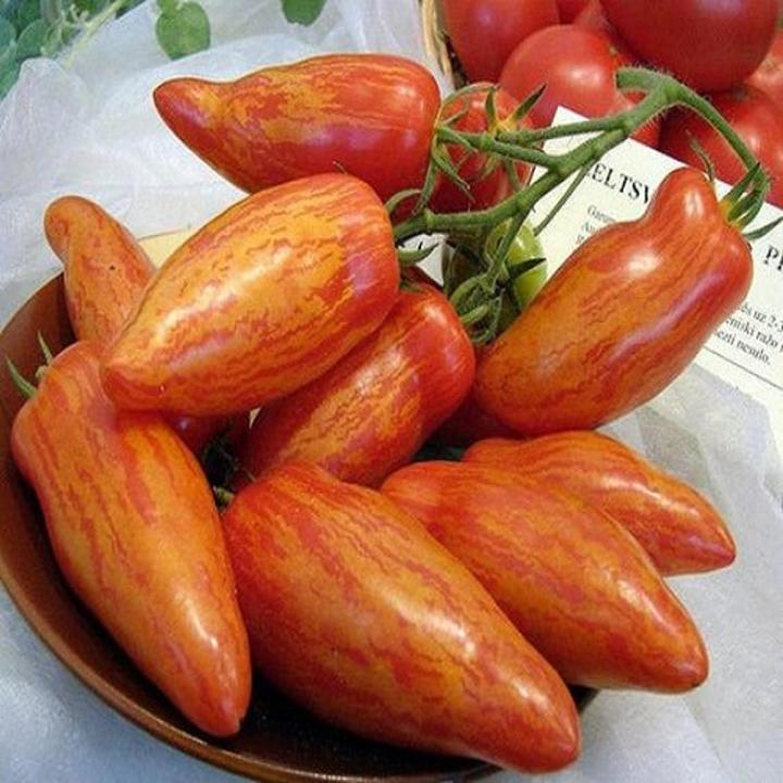 Tomato Feather Firebird Vegetable Seeds | Daraz.pk