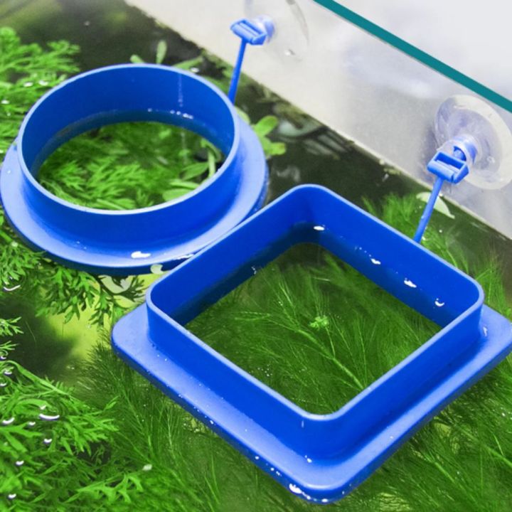 Plastic Buoyancy Circle Thicken Floating Feeding Ring Suction Cup Round ...