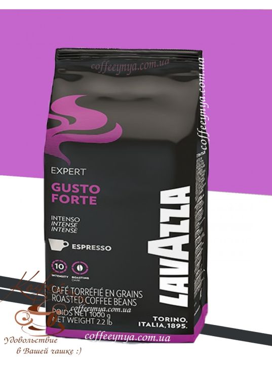 Lavazza Coffee Beans Expert Gusto Forte 1kg | Daraz.pk