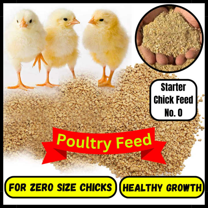 Poultry feed for chicks zero size (0 number) - Starter feed for chicks ...