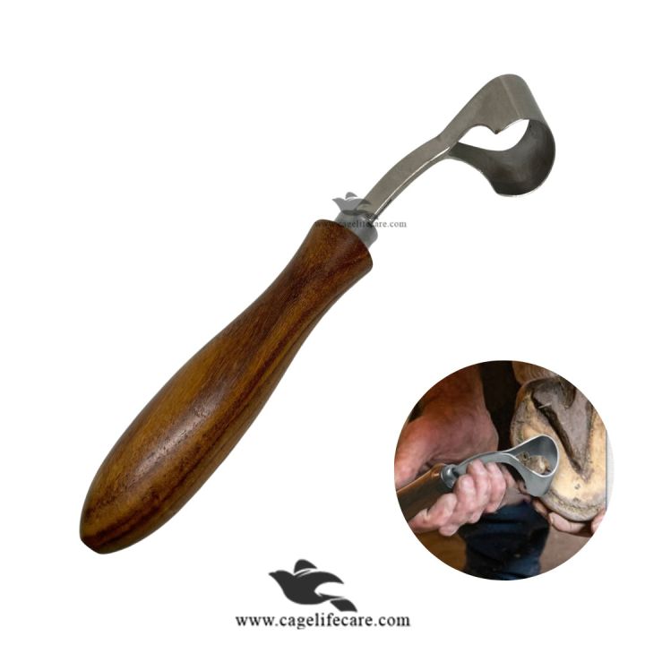 Hoof Knife – Trimming Tool For Livestock and Horses ( Round Shape ) For ...