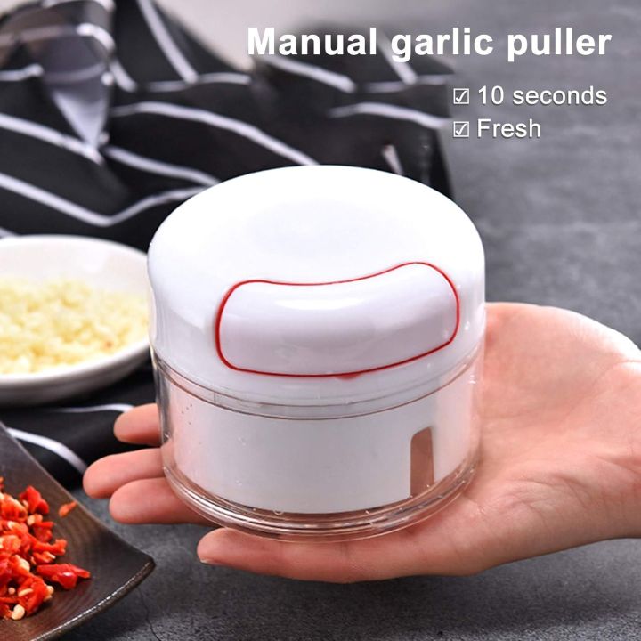 Manual Garlic Chopper, Kitchen Chopper Masher Hand Pull Food Processor ...