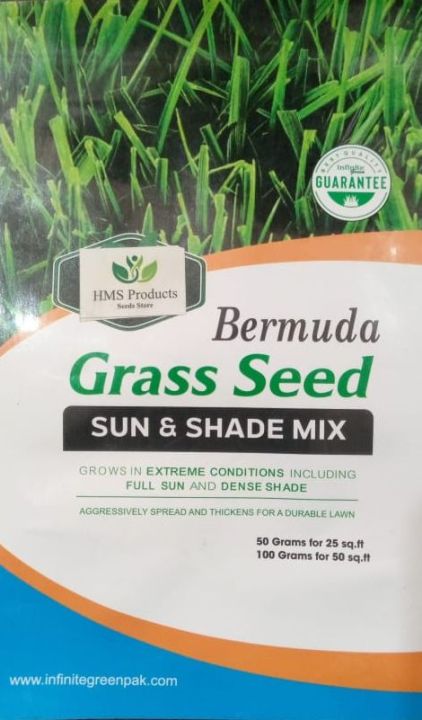 Lawn Grass Seeds (Bermuda Grass) imported seeds from Netherlands 50 ...