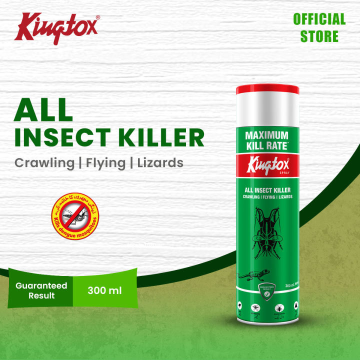KINGTOX ALL INSECT KILLER SPRAY 325ML (GREEN) VALUE PACK | Daraz.pk