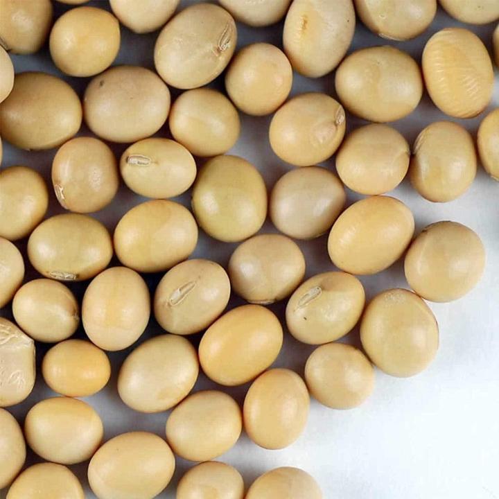 Soy Beans - Dried - Organic- Soybean Seeds - Make TOFU, Sprouts, Soy ...