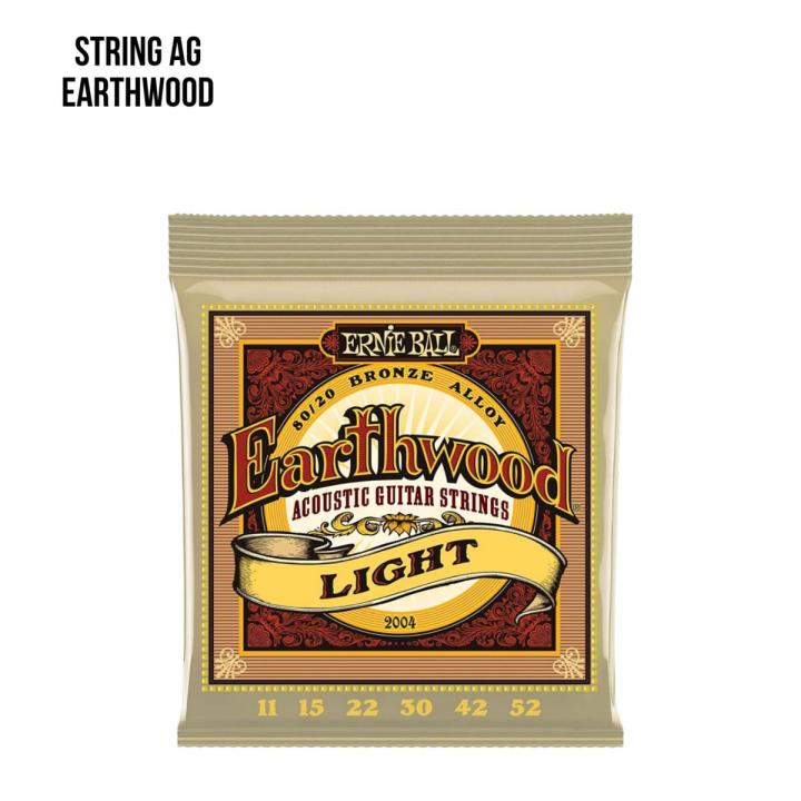 ACOUSTIC GUITAR STRING PACK ERNIE BALL EARTHWOOD 80/20 | Daraz.pk