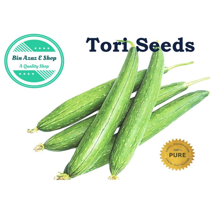 Tori F1 Seeds/Ridge Gourd Seeds/Hybrid Tori Seeds/ Turai Seeds/Loofah ...
