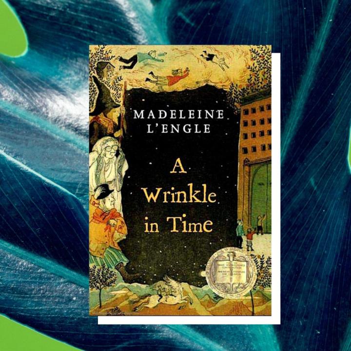 A Wrinkle in Time By Madeleine L'Engle | Daraz.pk
