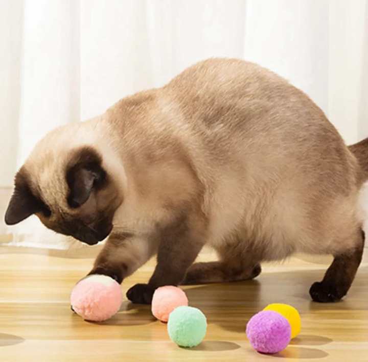 12 pcs Soft Teasing Cats Playing Small Balls toy | Daraz.pk