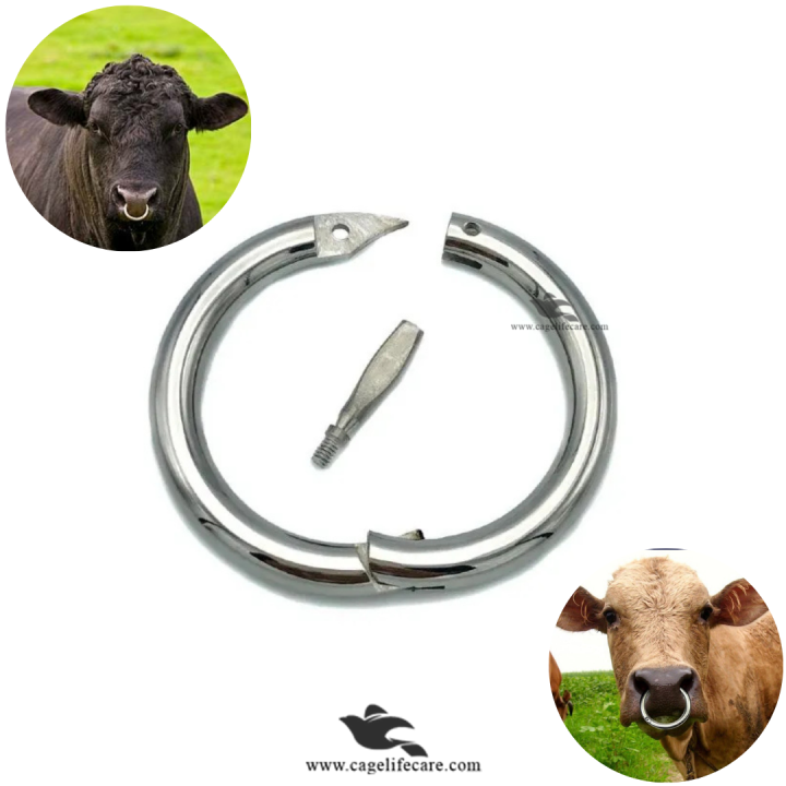 Stainless Steel 3.5 inches Bull Nose Ring for Cattle – Livestock Control Tool | Daraz.pk
