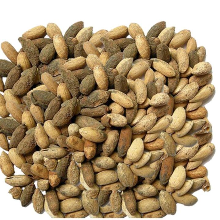 Karela Seeds 500 grams | Daraz.pk