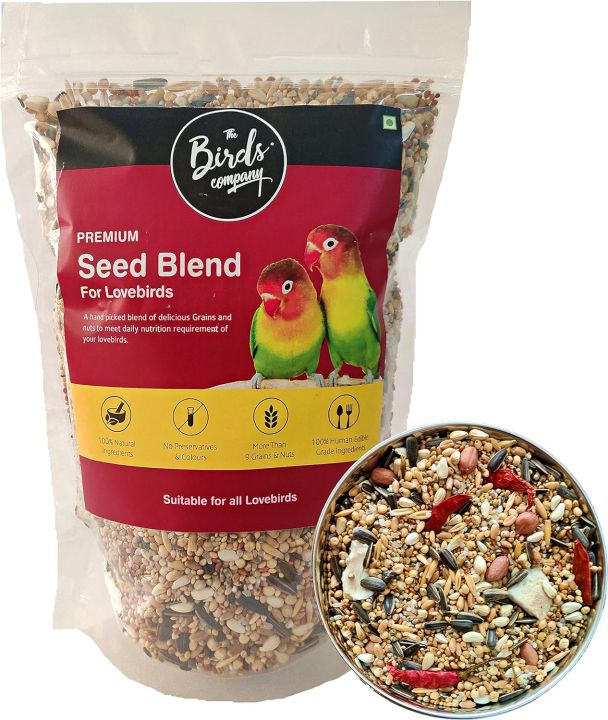 The Birds Company Premium Seed Blend of 9 Grains & Nuts, Fortified with ...