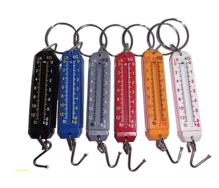 Pack of 1 - Portable Mini Weight Scale with Keychain - upto 6 kg ...