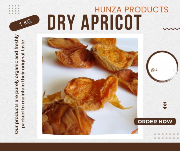 Hunza Apricots Sun Dried Natural Khubani from Hunza | Daraz.pk