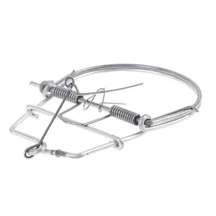 Grote Muis Val, Wezel Vangen, Vangen Lente Trapt, Mous Val, Knaagdier ...