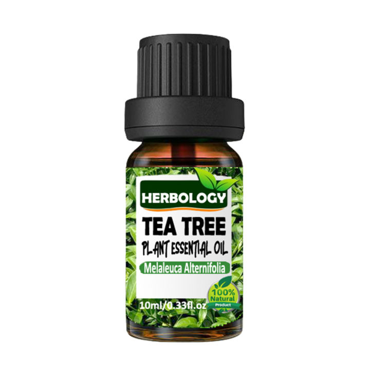 Tea Tree Essential Oil , 100% Pure Therapeutic Grade, Steam Distilled ...