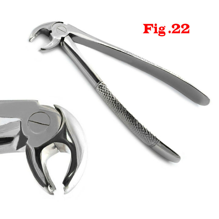 Premium High Quality Stainless Steel Dentist Tooth Extracting Forceps ...