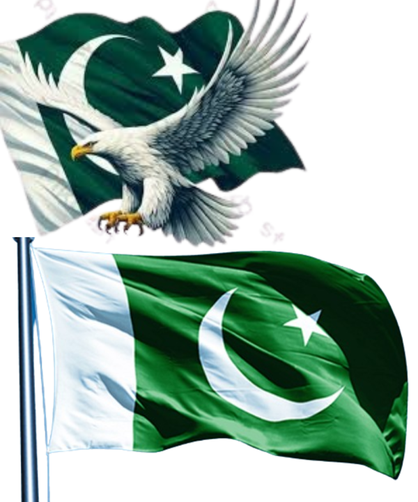 VIP National Flag of Pakistan – Standard Size Best Parachute Fabric ...