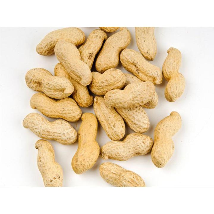 mong phali (peanut) 500g special, with shells | Daraz.pk