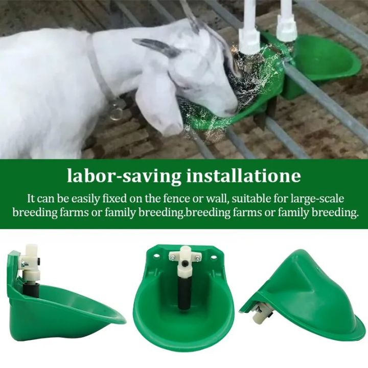 "Durable and Labor-Saving Goat Auto Drinker with Unbitable Pipe – Easy ...