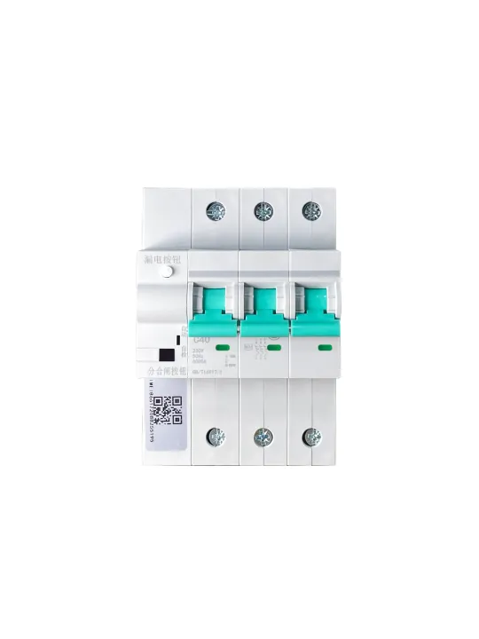 Wi-Fi Smart Circuit Breaker MCB Tuya Smart Life Remote Control Mini ...
