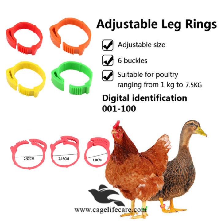 Adjustable Poultry Leg Bands – Clip-On Identification Rings for ...