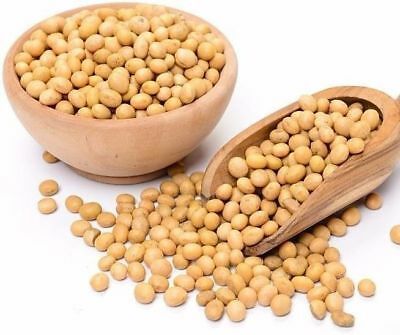 Organic Soya Bean 250g | Daraz.pk
