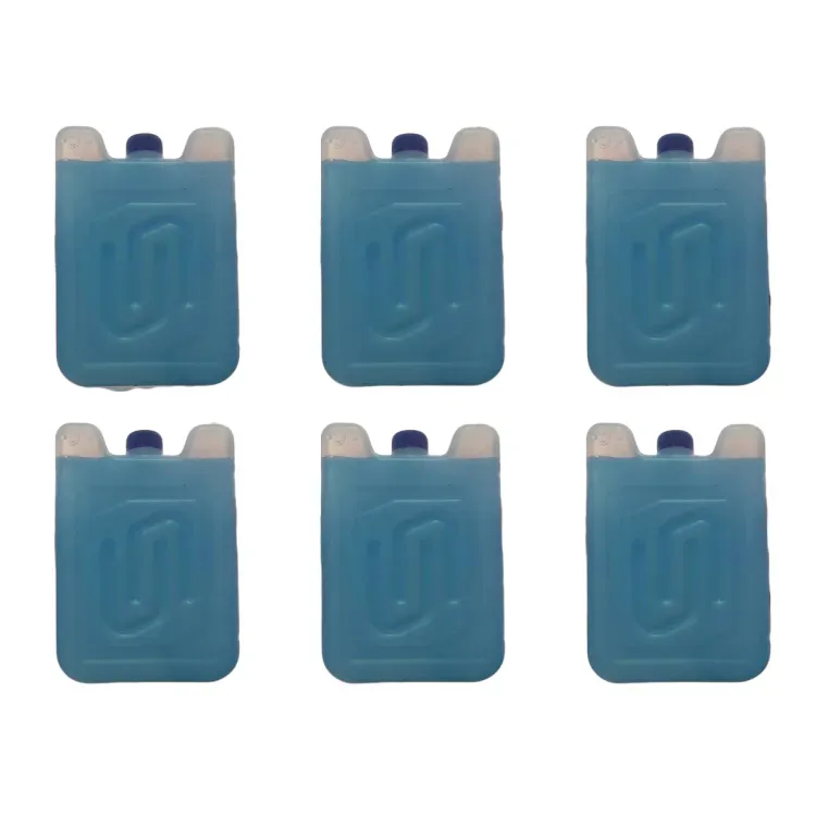 Refreezable 6 ice pack Bottle for ice Box air Coolers, ac Cooler and DC ...