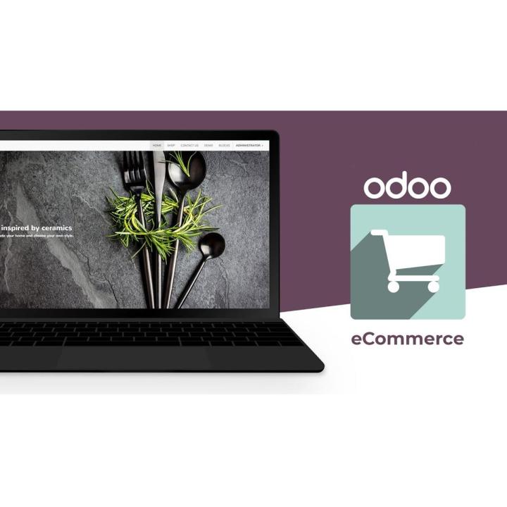 Odoo e-commerce | Daraz.pk: Buy Online at Best Prices in Pakistan ...