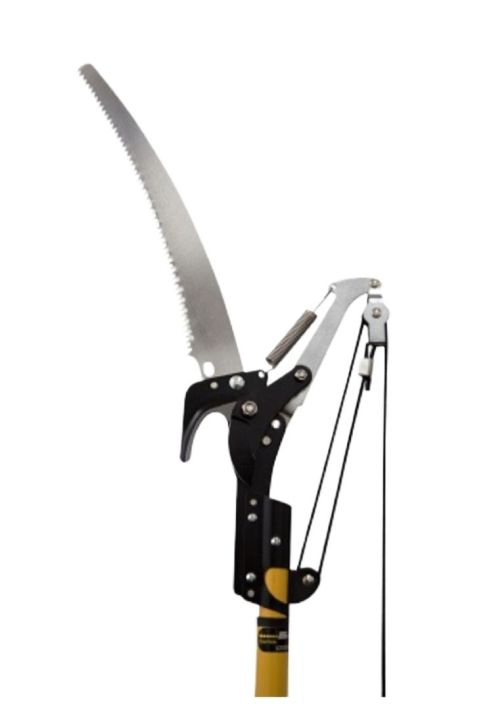 INGCO Extendable Pole Saw & Pruner – Adjustable Gardening Tool for ...