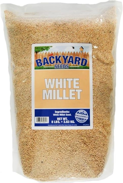 Backyard Seeds White Millet Bird Seed for Finches 8 Pounds (8 Pounds ...