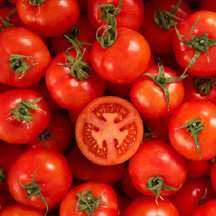 Rio Grande Tomato Hybrid F1 Seeds | Daraz.pk