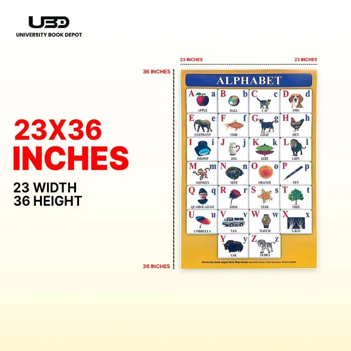 Capital and Small Letters Alphabets with HD Pictures Wall Chart 23*36 ...