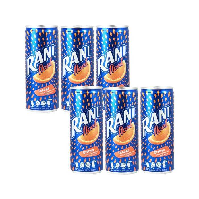 Rani Float Peach 250 ml - 6 Cans - Enjoy the Fruity Delight! | Daraz.pk