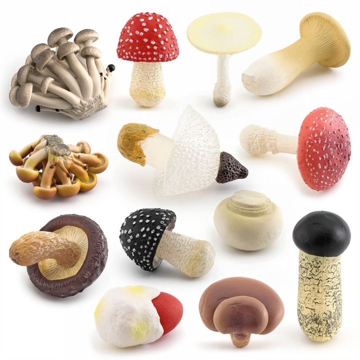DIY Farming Toys Vegetable Model Fungus Figurines Matsutake Oyste ...