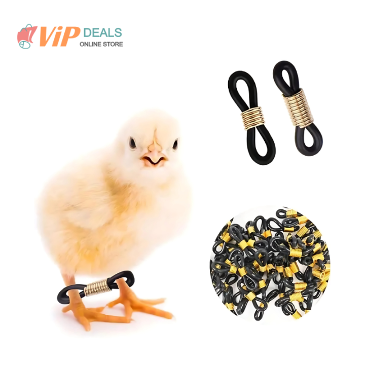 Adjustable Leg Hobble Braces for Chicks and Birds – Instant Solution ...
