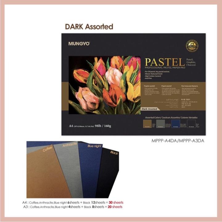 MUNGYO Professional Pastel Paper Pad A4 Size for Oil Pastel, Dry Pastel ...