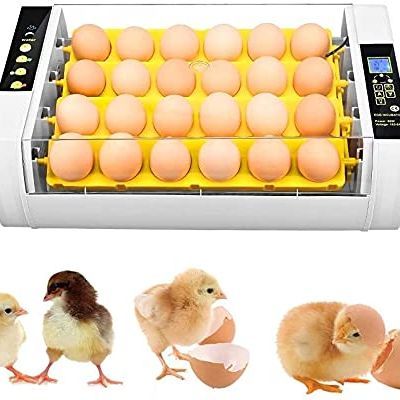HHD 24 Eggs Fully Automatic Incubator Digital Hatchery Machine | Daraz.pk