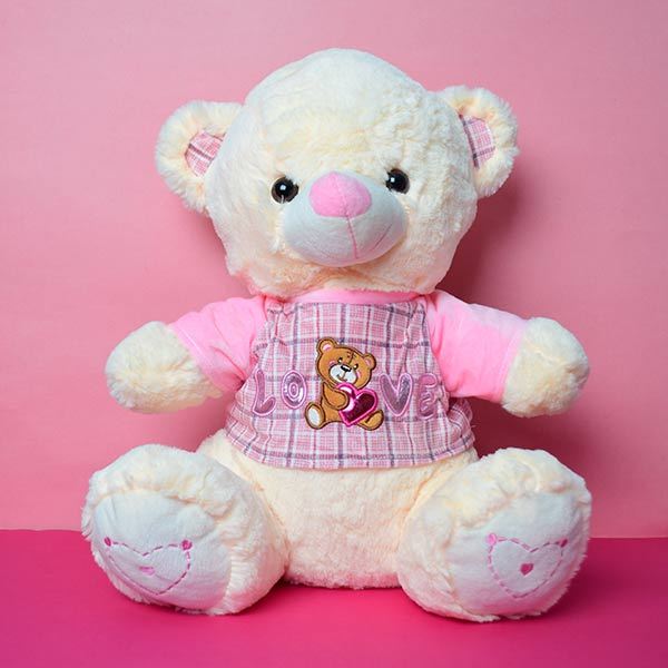Soft And Huggable Teddy Bear With Pink Love Jersi 17cm - Giant Teddy Bear. | Daraz.pk