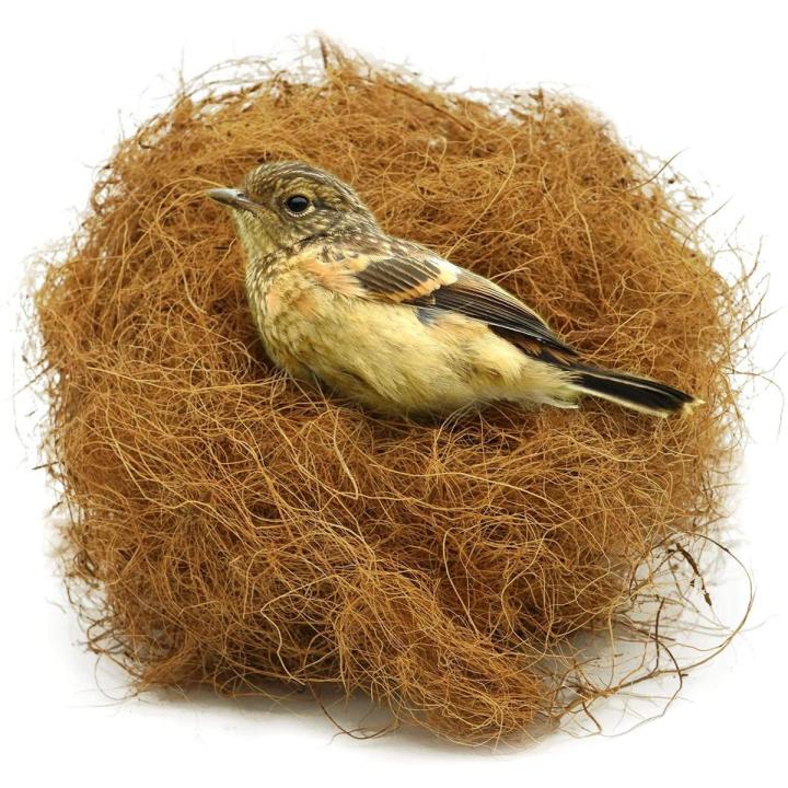 Natural Nesting Material for Birds, Parrots, Finches by Vintgold ...