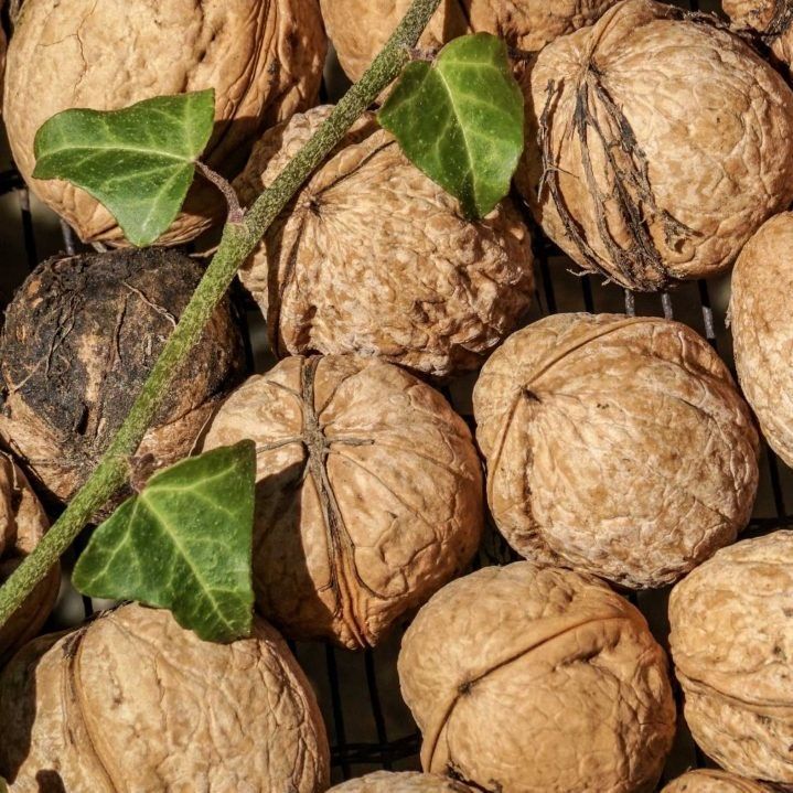 Walnut with Shell | Best quality Akhrot | 500 grams | Daraz.pk