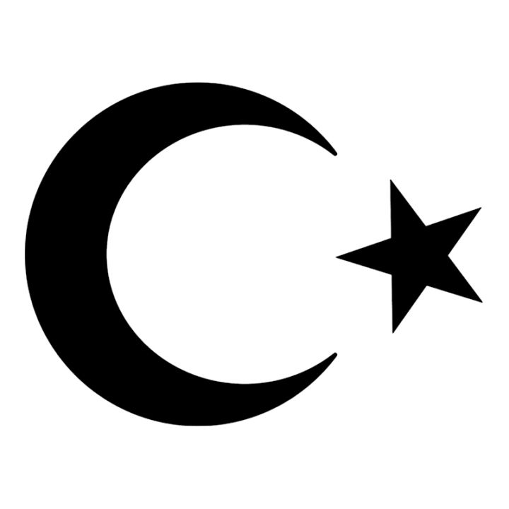 Turkish Flag Moon And Star Car Sticker Car Decal Waterproof Stickers On ...
