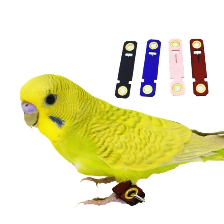 Practical Soft Pet Accessories Anti-Lost for Sparrow Budgie Bird Buckle ...