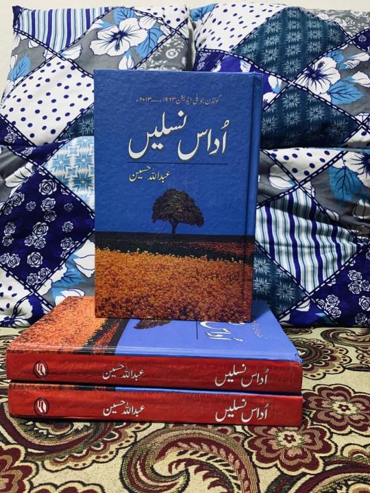 UDAAS NASLAIN BOOK BY ABDULLAH HUSSAIN URDU BEST SELLING BOOK | Daraz.pk