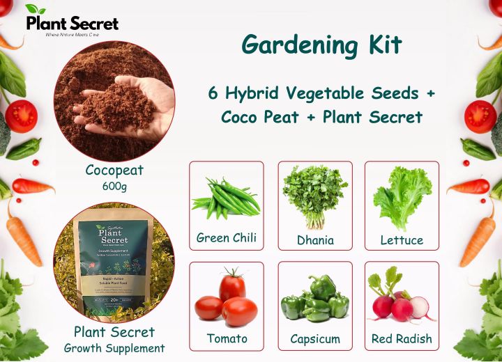 Pack of 8 Gardening kit 6 Hybrid vegetable seeds, coco peat and Plant ...