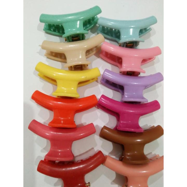 Lesto 12 pieces small Plastic Hair clips catcher | Daraz.pk